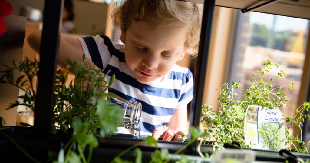 Education for sustainability in practice